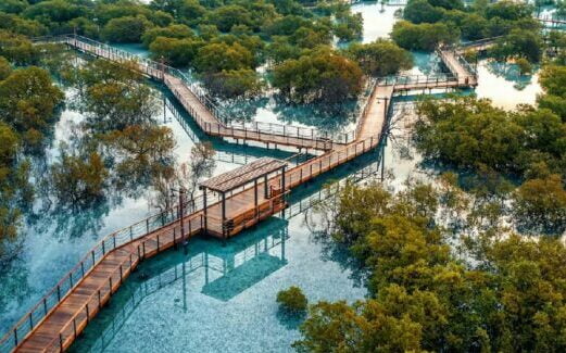 Jubail Mangrove Park Jubail Island