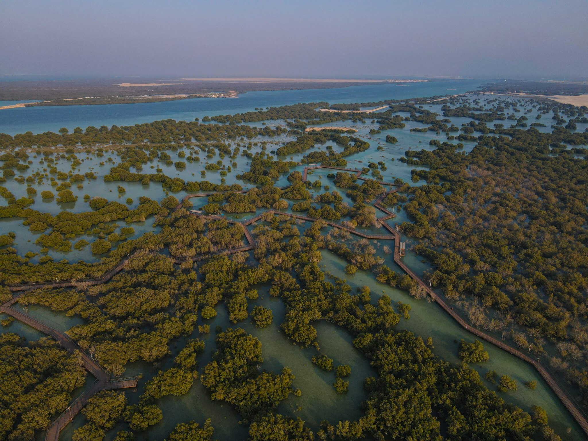 Homepage - Jubail Island