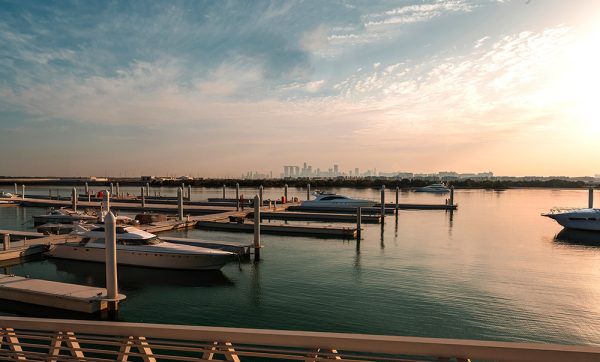 Jubail Island - Space to Grow